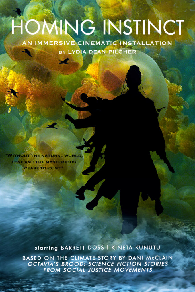 HOMING INSTINCT: A Film Installation by Lydia Dean Pilcher – Art in America Guide